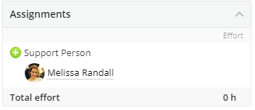 How to add and remove Roles in Assignments? | Targetprocess ...