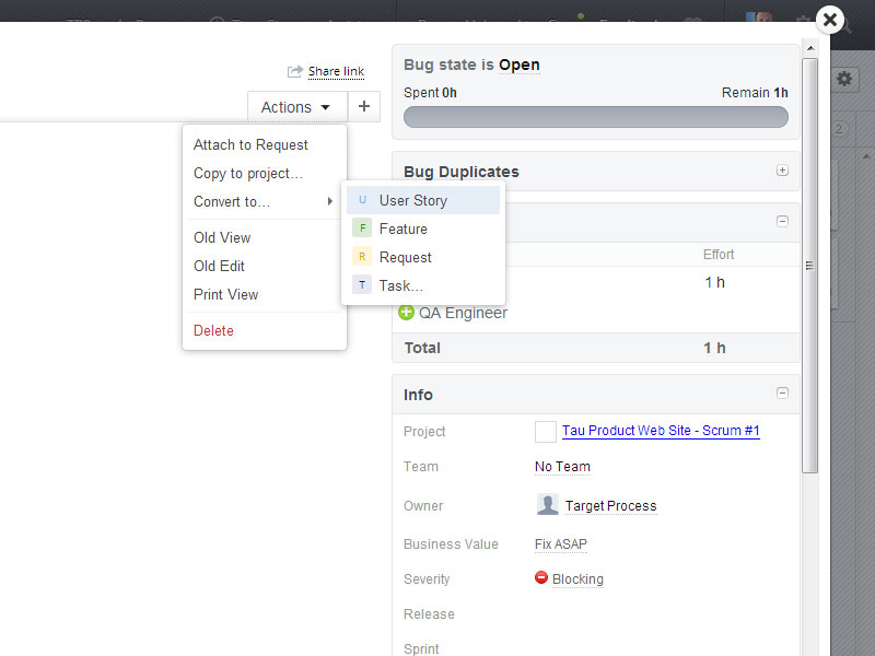 Convert An Entity to Another Type | Targetprocess - Enterprise Agility Solution